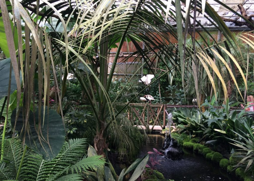 Zoo Santo Inácio em Gaia - Agenda Cultural do Porto