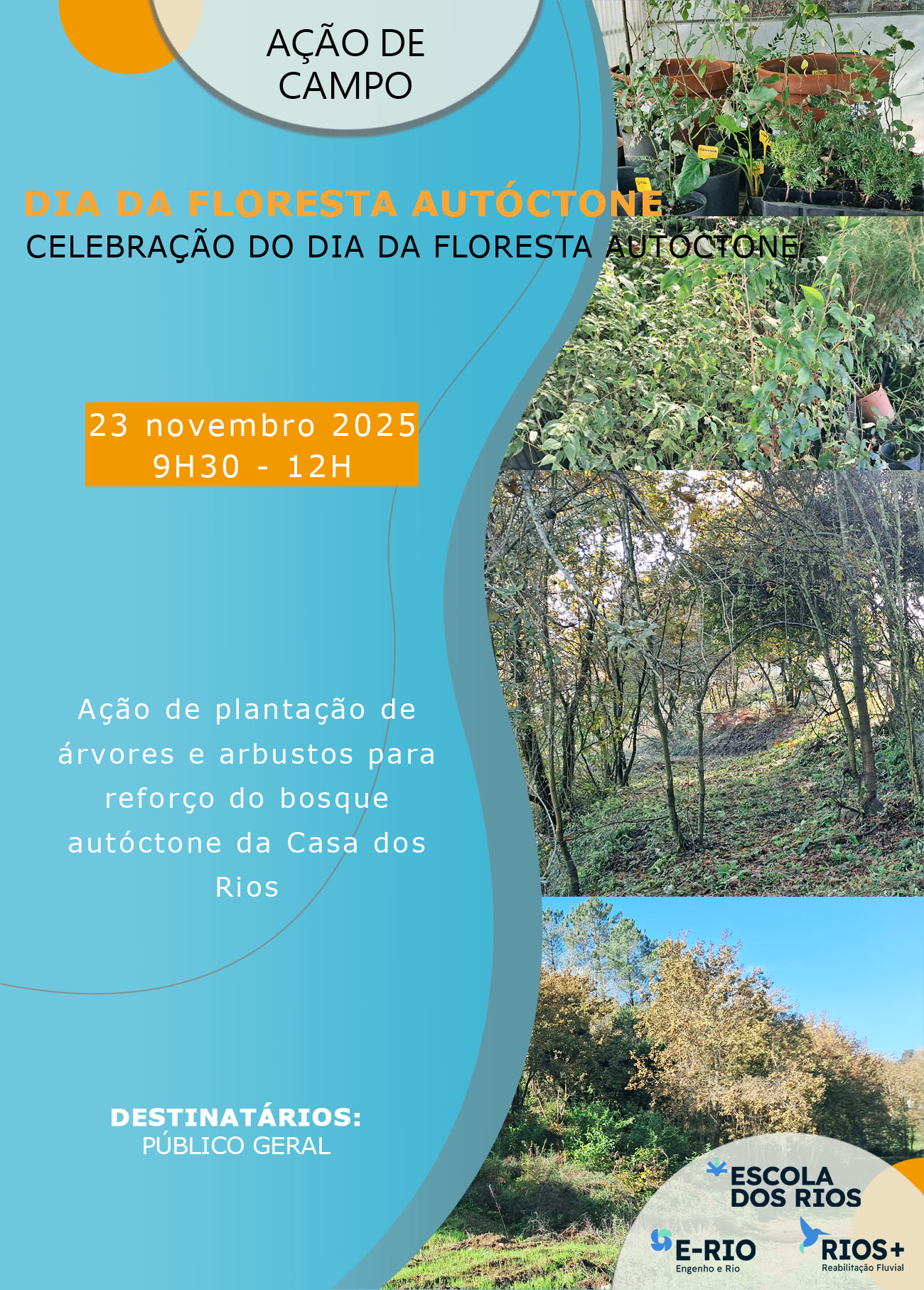 Celebração do Dia da Floresta Autóctone - Eventos no Porto